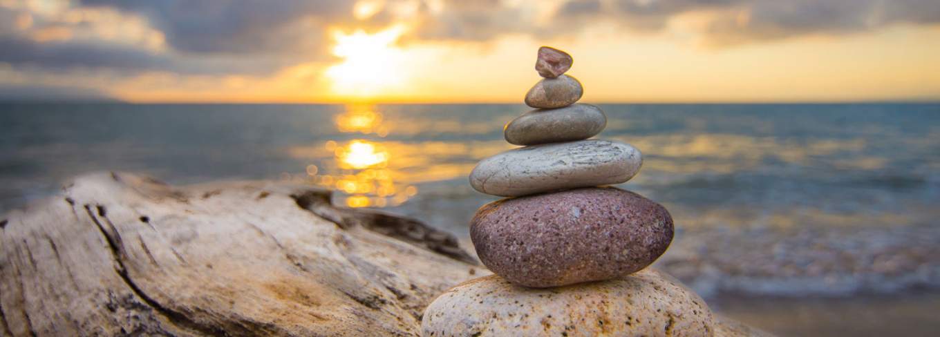 Mindful Self-Care - Mindful Wellness Assessment - University at Buffalo